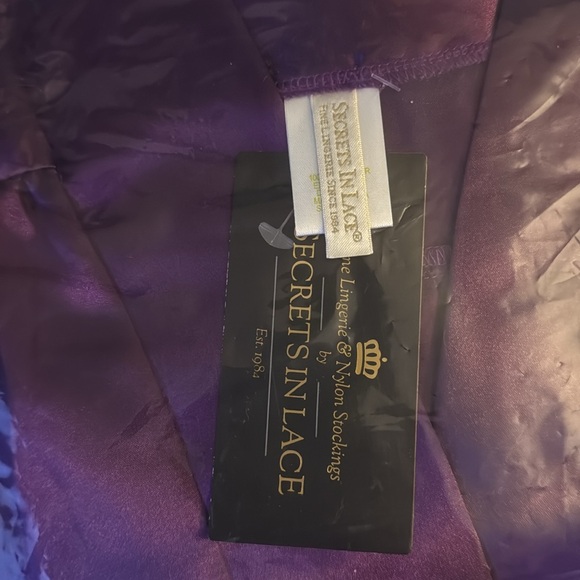 Secrets In Lace | Intimates & Sleepwear | Secrets In Lace Empress Satin ...